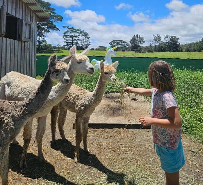 Pahoa: Ranch Tour with Animal Feedings and Interactions - Practical Details and Price-Value Analysis