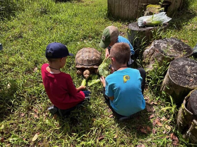 Pahoa: Ranch Tour with Animal Feedings and Interactions - What the Reviews Say