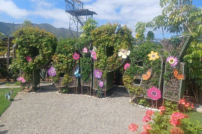 Pai Pai Animal Experience: Private Ride and Ticket Assistance - Who Will Love This Tour?