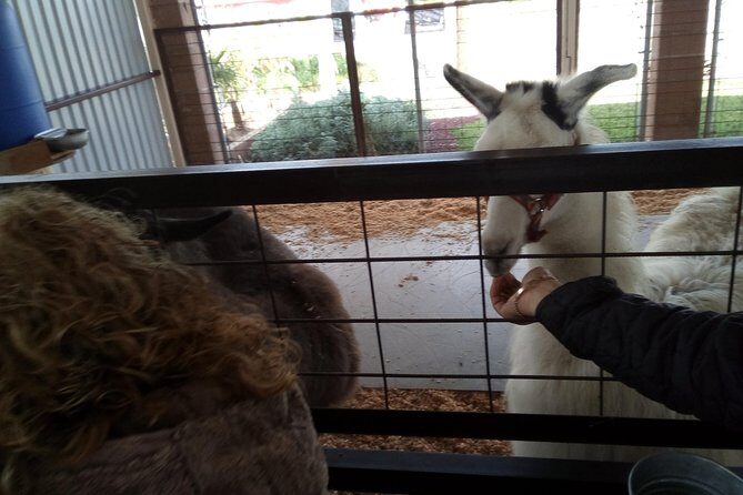 Pai Pai tour - Authentic Experiences and Hidden Gems