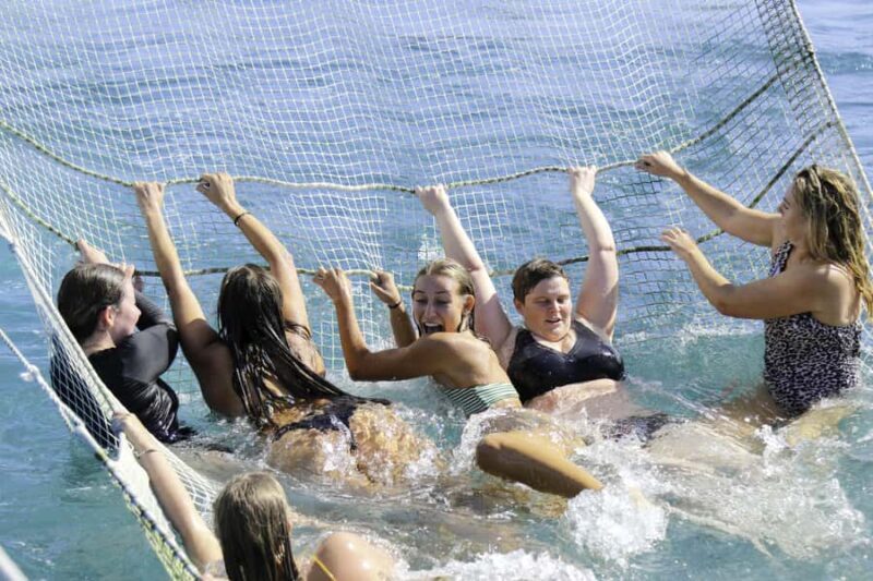 Paihia: Bay of Islands Dolphin Eco Cruise & Island Stopover - Key Points