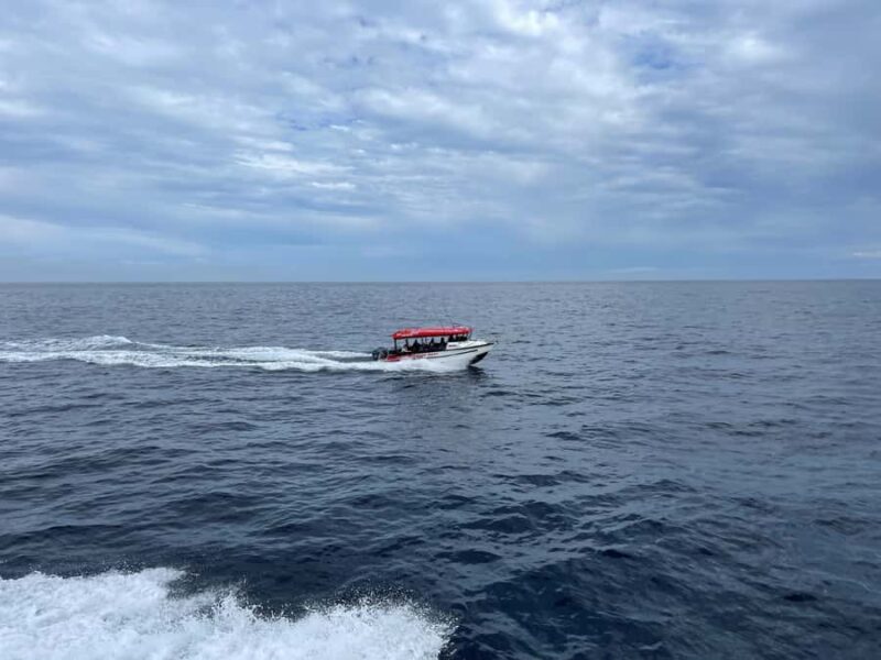 Paihia: Glass Bottom Boat Tour to the Hole in the Rock - The Sum Up: Why This Tour Is Worth It