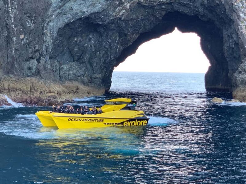Paihia: Hole in the Rock Fast Boat Ocean Adventure - Key Points