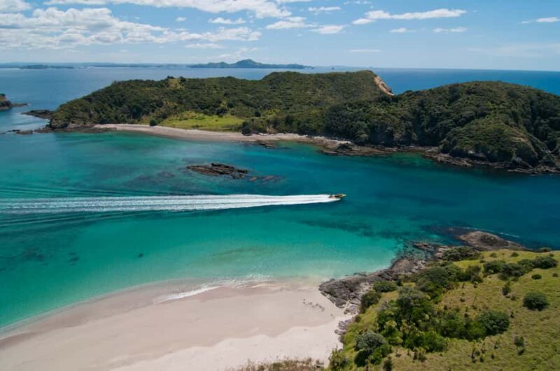 Paihia: Hole in the Rock Fast Boat Ocean Adventure - Why This Tour Works for Different Travelers