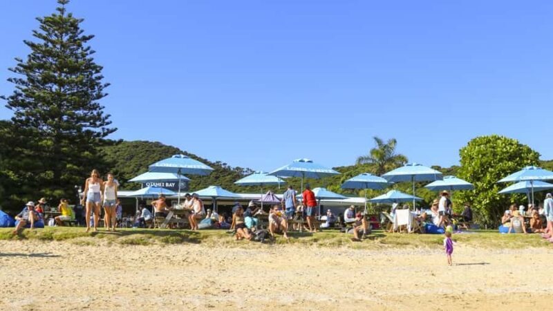 Paihia: Hole in the Rock Fast Boat with Island Stopover - Practicalities and Value