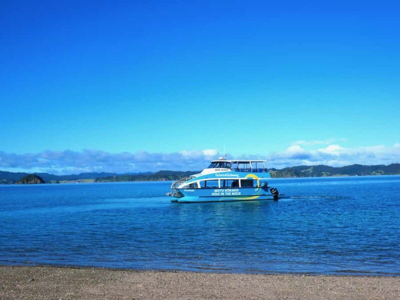 Paihia/Russell: Hole in the Rock Cruise with 2 Island Stops - Practical Tips for Travelers