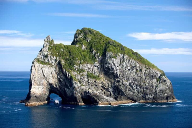 Paihia/Russell: Hole in the Rock, Dolphins & Island Cruise - Authentic Experiences and Tips