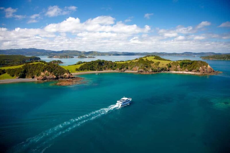 Paihia/Russell: Hole in the Rock, Dolphins & Island Cruise - Who Should Book This Tour?
