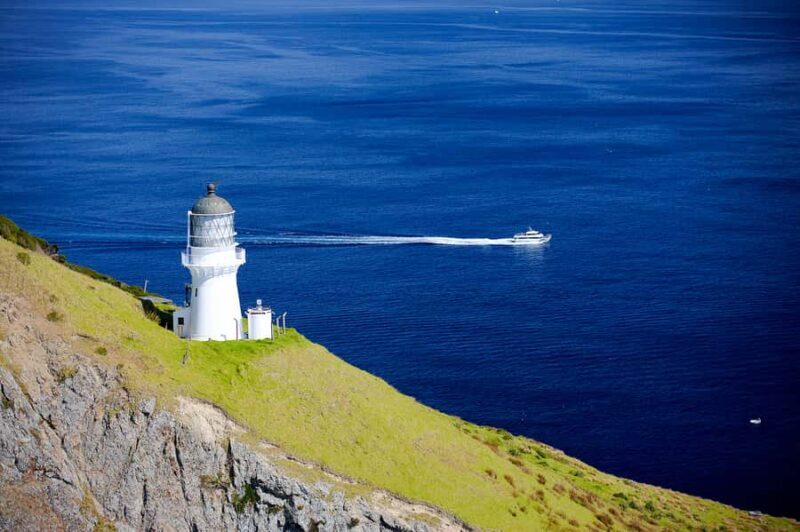 Paihia/Russell: Hole in the Rock, Dolphins & Island Cruise - The Sum Up