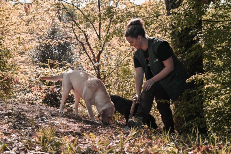 Paladini: Truffle Hunting Tour with 3-Course Tasting Menu - Exploring the Truffle World in Istria