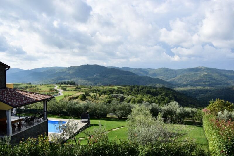 Paladini: Truffle Hunting Tour with 3-Course Tasting Menu - The Tasting Experience: Food, Wine, and Local Flavors