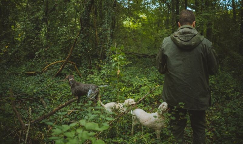 Paladini: Truffle Hunting Tour with 3-Course Tasting Menu - FAQ