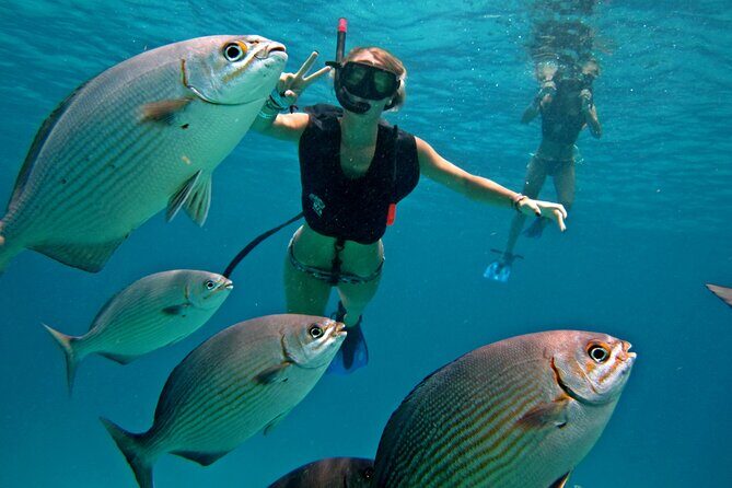 Palancar, Columbia and El Cielo Cozumel Snorkeling Tour - Key Points