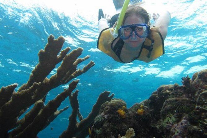 Palancar, Columbia and El Cielo Cozumel Snorkeling Tour - What to Expect During the Tour