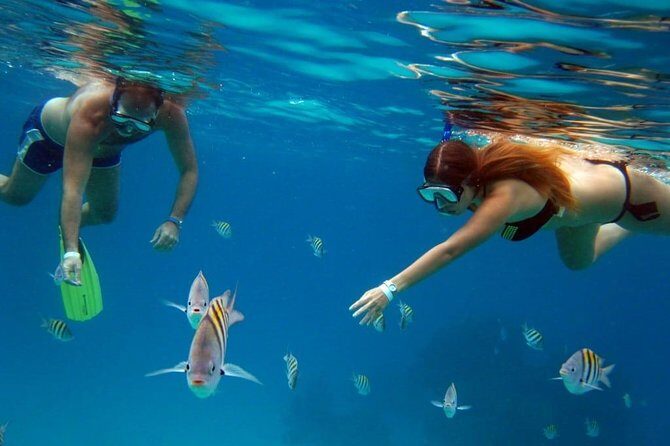 Palancar, Columbia and El Cielo Cozumel Snorkeling Tour - Practical Tips for a Smooth Experience