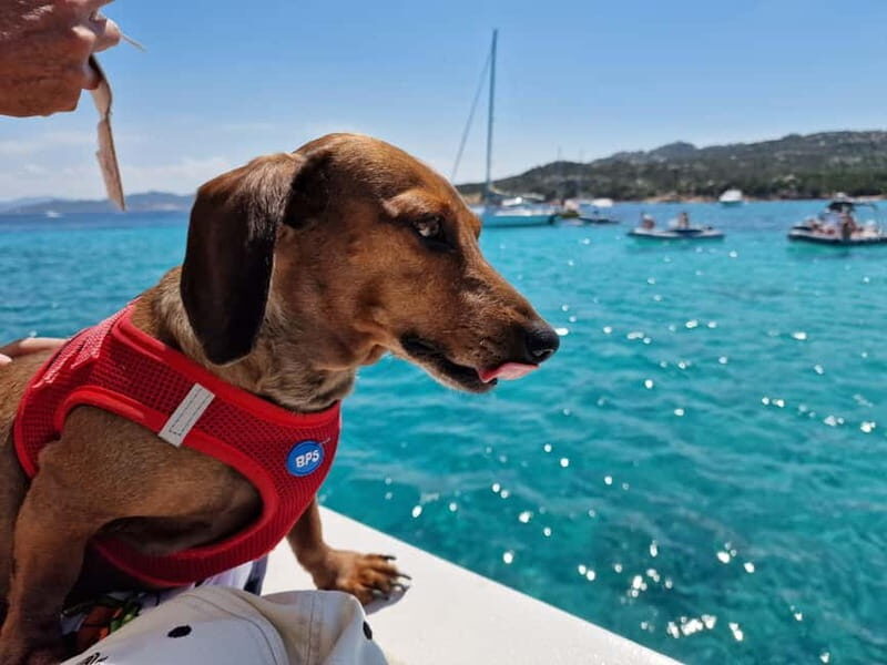 Palau: La Maddalena Archipelago Boat Tour with 4 Stops - FAQs About the La Maddalena Archipelago Boat Tour