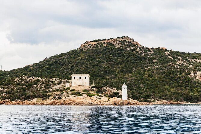 Palau or La Maddalena: 4-hour RIB tour of the archipelago - Who This Tour Is Perfect For