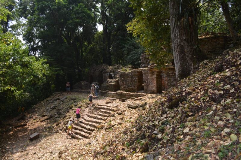 Palenque: 2-Day Lacandon Jungle, Yaxchilan, & Bonampak Trip - Who Is This Tour Best For?