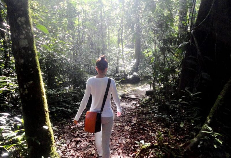 Palenque: 2-Day Lacandon Jungle, Yaxchilan, & Bonampak Trip - FAQs