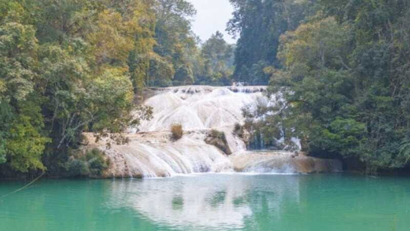 Palenque Archaeological Area and Roberto Barrios Waterfalls - Practical Details and What to Expect