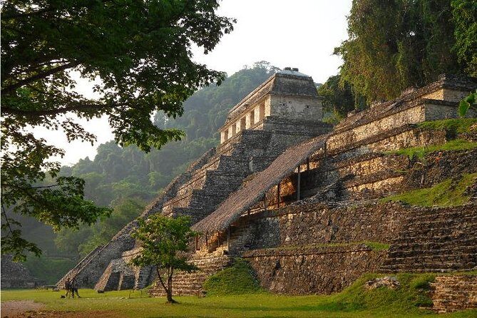 PALENQUE MAYAN RUINS (Private) - The Sum Up