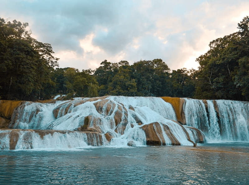 Palenque: Roberto Barrios Waterfall Tour - The Itinerary Breakdown: What You Can Expect