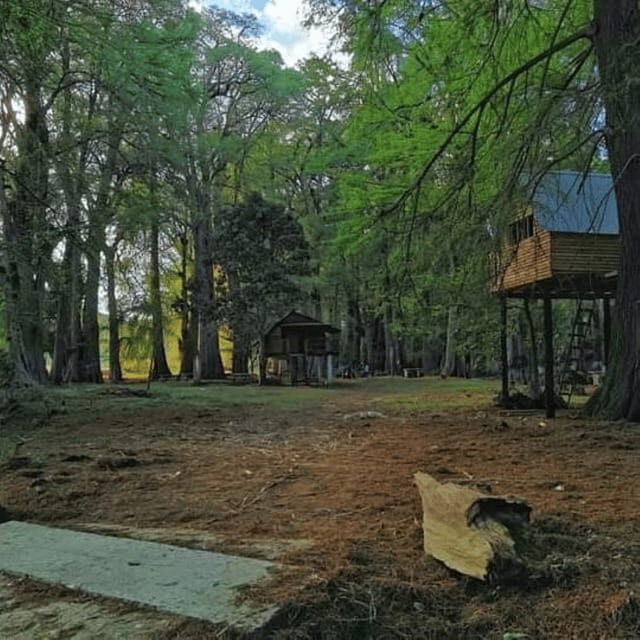 Palenque: Yaxchilan, Bonampak and Lacanja Jungle Adventure - Key Points