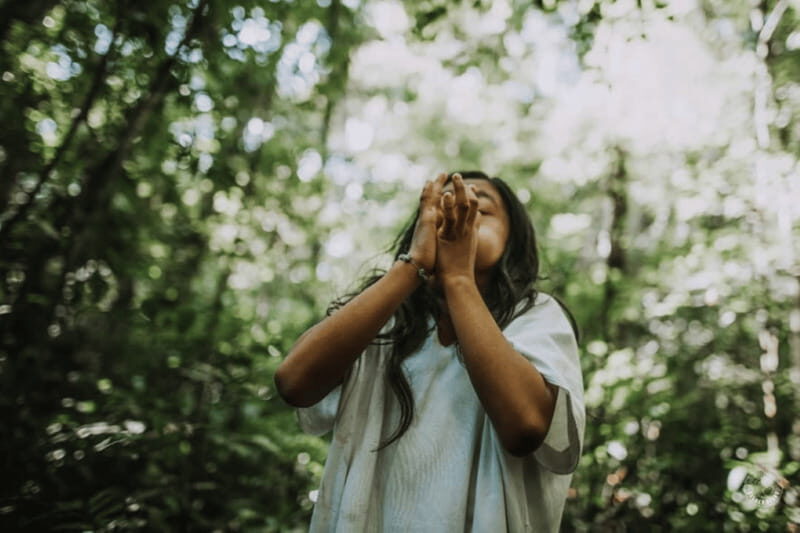 Palenque: Yaxchilan, Bonampak and Lacanja Jungle Adventure - The Detailed Breakdown of the Tour Experience