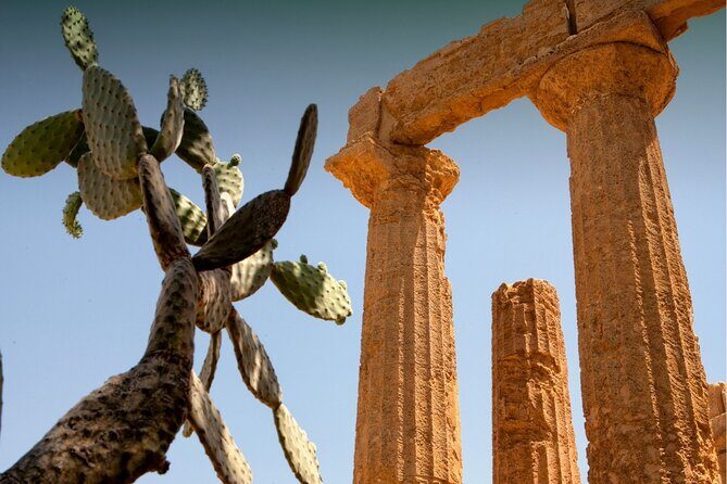 Palermo to Siracusa: stop at Valley of Temples & Roman Villa - Who Should Consider This Tour?