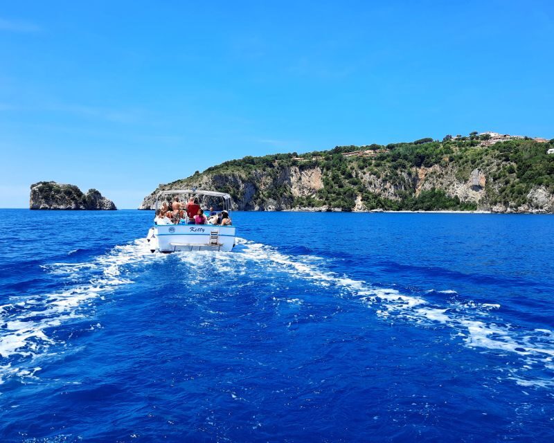 Palinuro: Boat Trip along the Coast & Blue Grotto Visit - An In-Depth Look at the Palinuro Boat Trip Experience