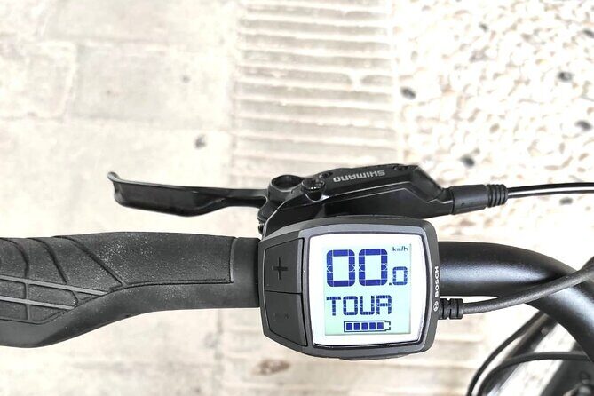 Palladian E-Bike Rental in & around Vicenza - Final Thoughts: Is It Worth It?