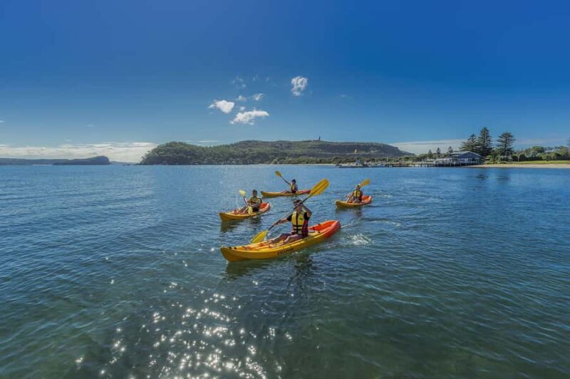 Palm Beach Harbour Hopper 24-hour or 48-hour Cruise Pass - Key Points