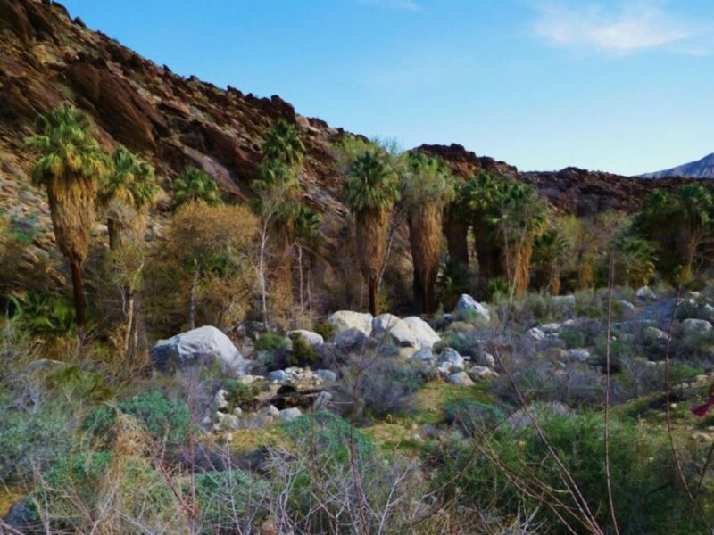 Palm Springs: Indian Canyons Jeep/Hiking Combo Tour - Who Will Love This Tour?