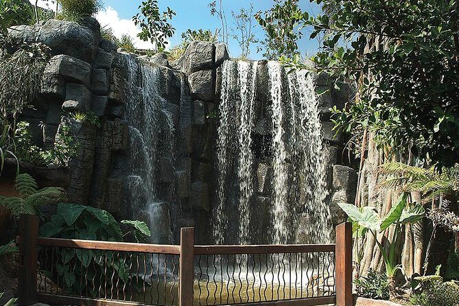 Palma Aquarium with return bus from Port Alcudia - Is It Worth the Price?