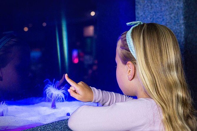 Palma Aquarium with return bus from Port Alcudia - Who Should Consider This Tour?