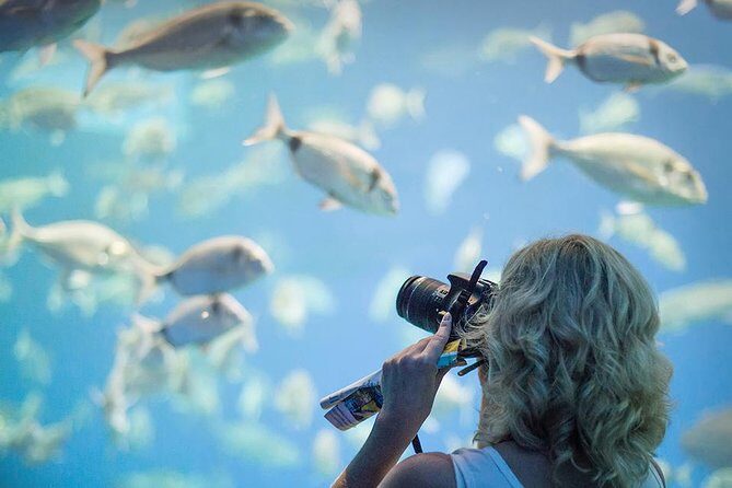 Palma Aquarium with return bus from Port Alcudia - The Sum Up