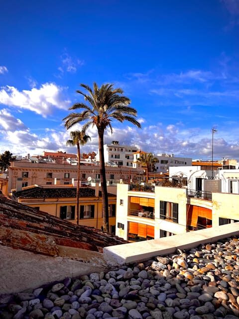 Palma authentically. Small group City tour with tapas - Introduction