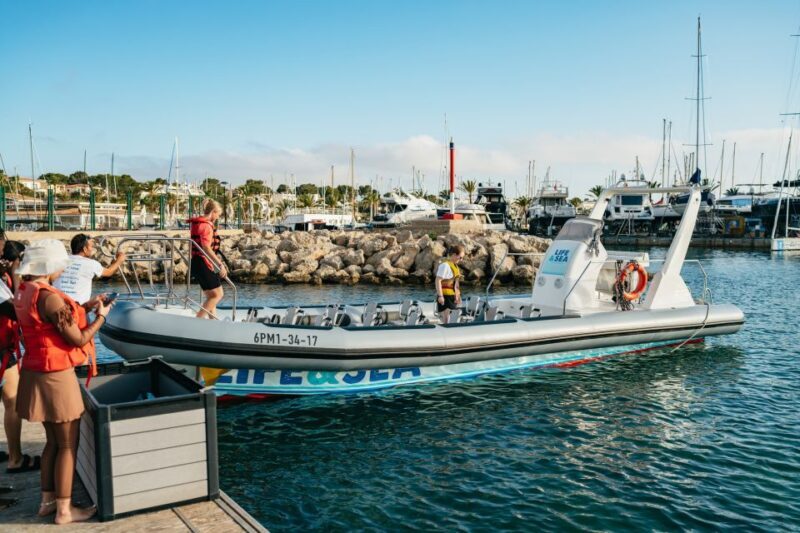 Palma Bay: 1-Hour Speedboat Adventure - Who Will Love This Tour?