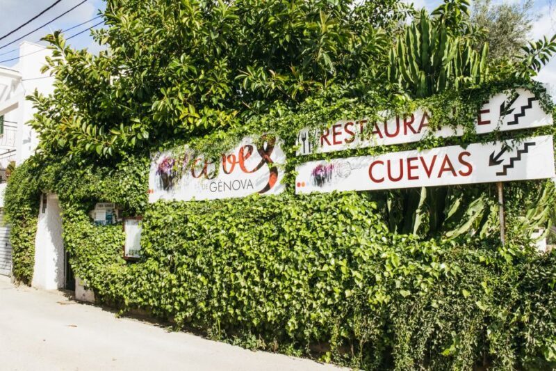 Palma: Caves of Genova Ticket & Digital Audio Guide - Key Points