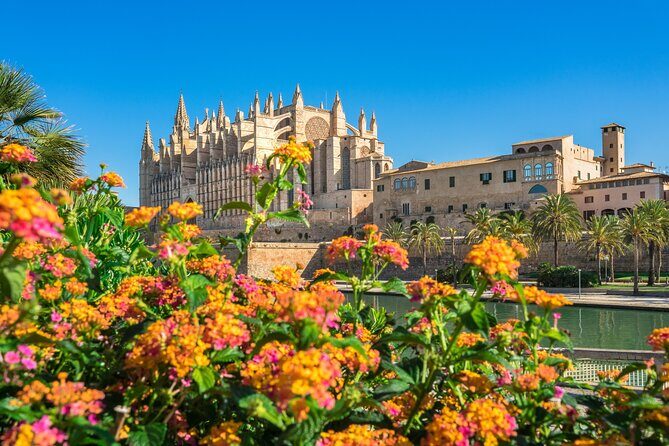 Palma de Mallorca and Valldemossa Excursion from Cruise Port - What to Expect from This Mallorca Tour