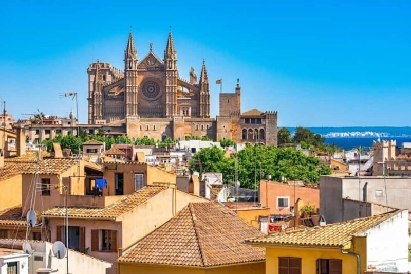 Palma de Mallorca : Best Street Food Tour With A Local Guide - Key Points