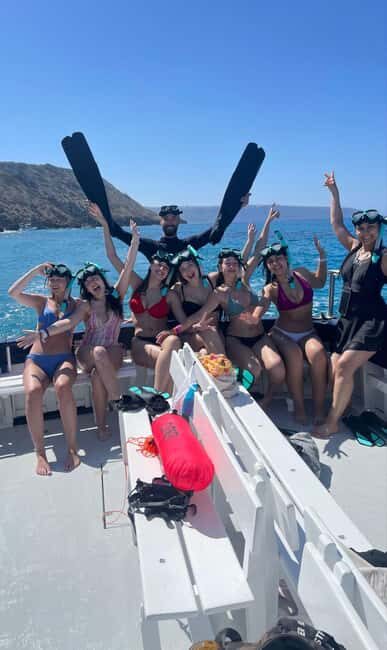 Palma de Mallorca: Cala Vella Snorkeling Adventure - The Marine Environment: What You’ll See
