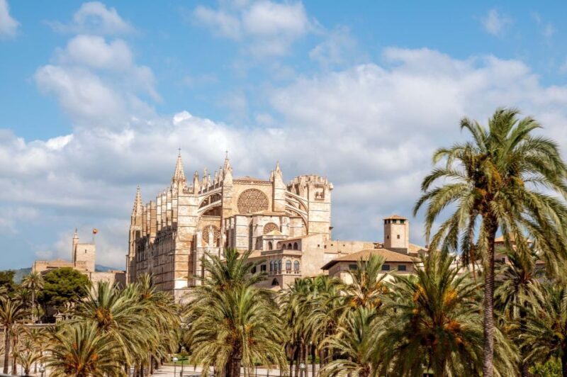 Palma de Mallorca: City Sightseeing Hop-On Hop-Off Bus Tour - Key Points