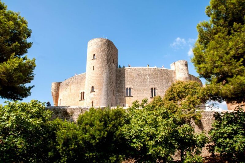 Palma de Mallorca: City Sightseeing Hop-On Hop-Off Bus Tour - The Sum Up