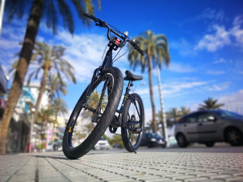 Palma de Mallorca: Guided Bicycle Tour - The Sum Up