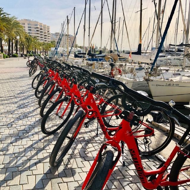 Palma de Mallorca: Guided Bicycle Tour with Tapas & a Drink - Key Points
