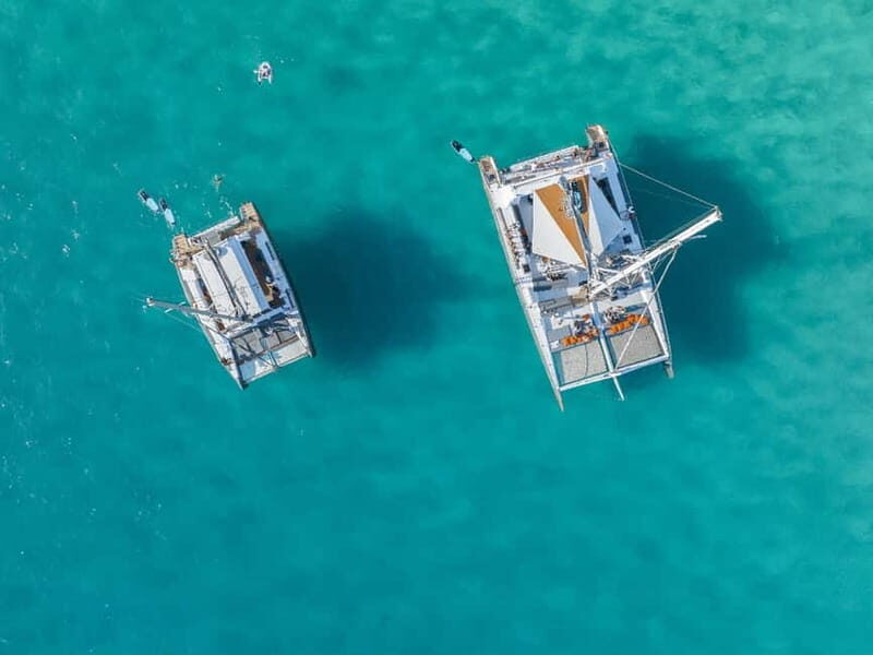 Palma de Mallorca: Half-Day Catamaran Tour with Buffet Meal - The Experience Quality and Value