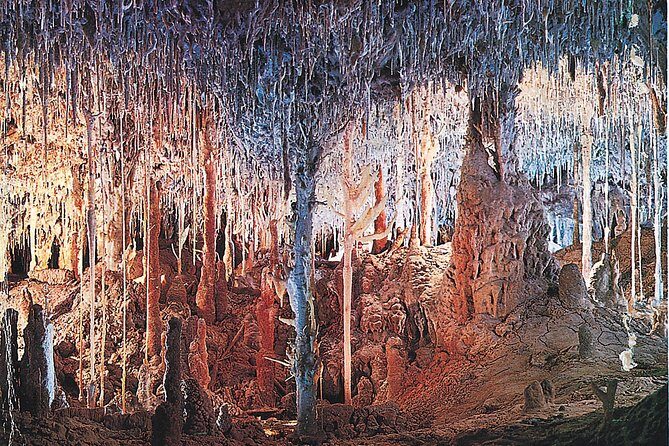 Palma de Mallorca Half-Day to Caves of Hams, Blue Cave and film - What the Tour Entails: A Detailed Breakdown