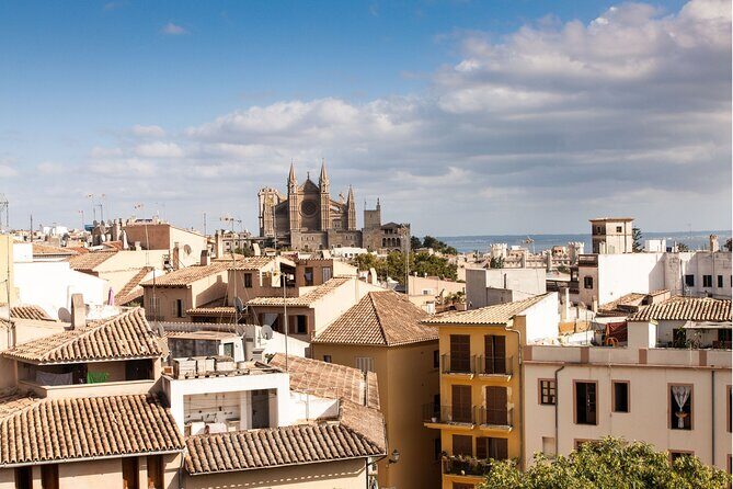 Palma de Mallorca : Private Custom Walking Tour with A Guide - An In-Depth Look at the Palma de Mallorca Private Walking Tour
