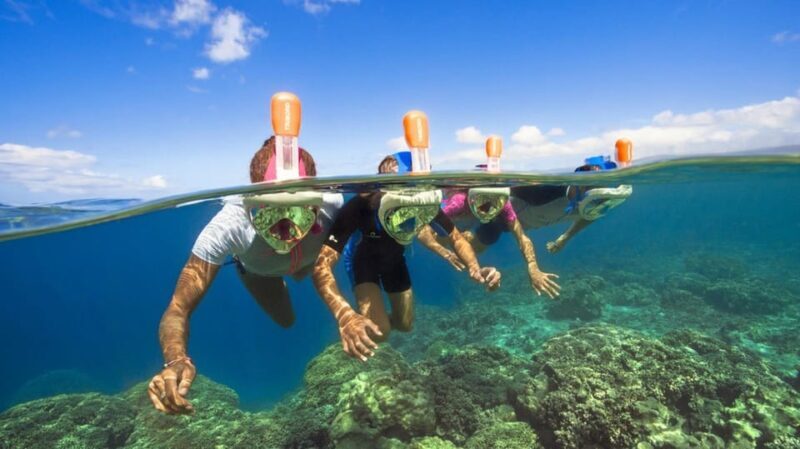 Palma de Mallorca: Private Yacht Trip with Drinks - Palma de Mallorca: Private Yacht Trip with Drinks — An In-Depth Review